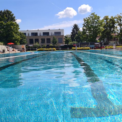 FreiBadSoden | Bad Soden am Taunus